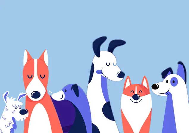 DINJOO | Smart Bark Collar with Color Screen